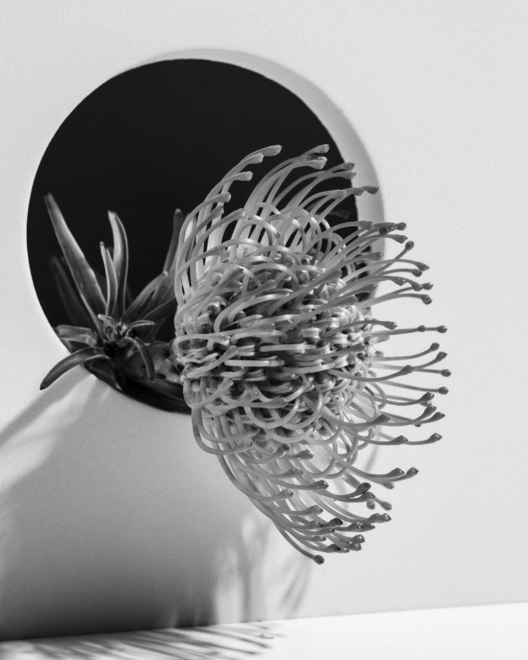 How to take black and white photos: the secrets of creating expressive ...